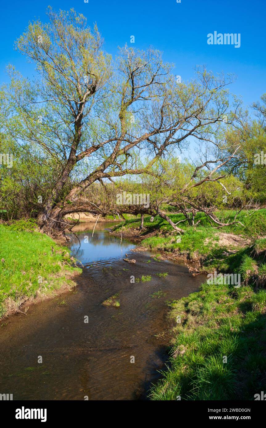 Winding Rural Stream in Sugar Grove, Pennsylvania, USA Stock Photo - Alamy