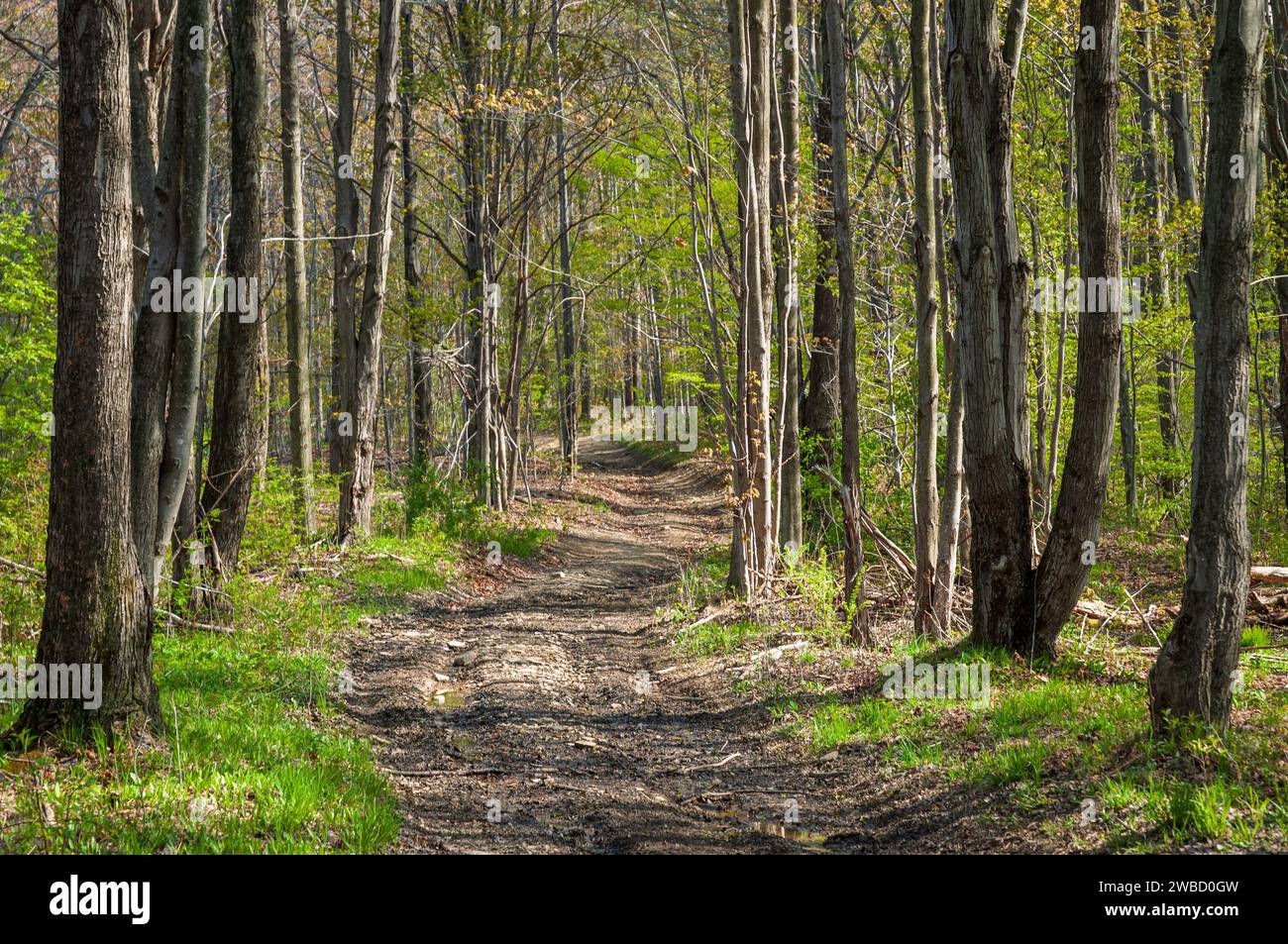 Pennsylvania backroads hi-res stock photography and images - Alamy