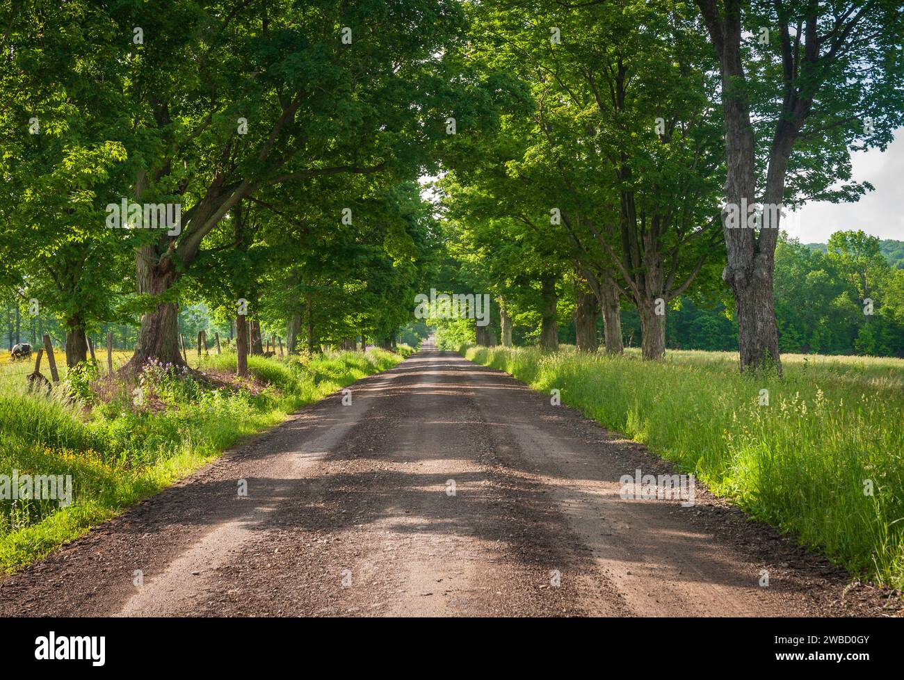 Pennsylvania backroads hi-res stock photography and images - Alamy