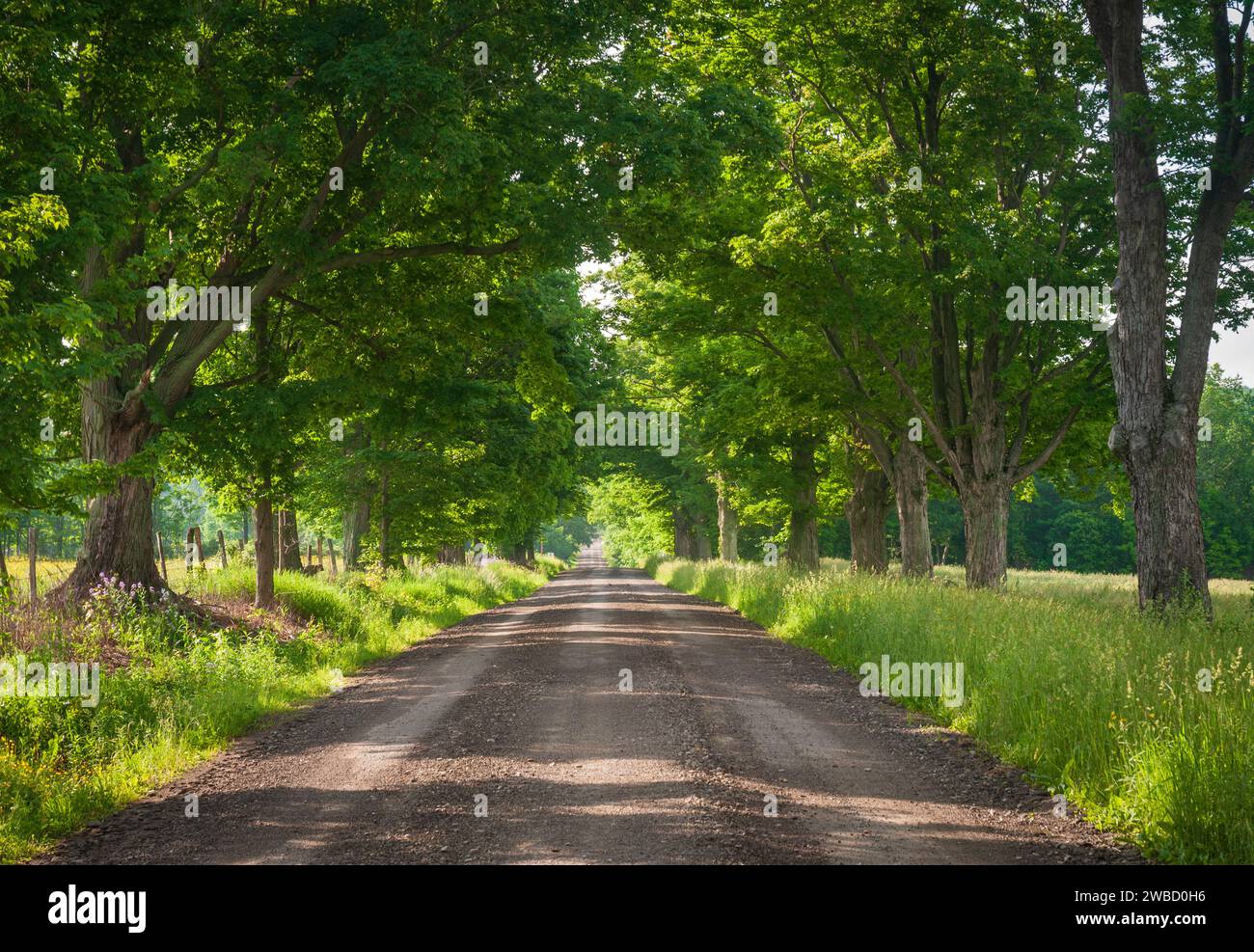 Pennsylvania backroads hi-res stock photography and images - Alamy