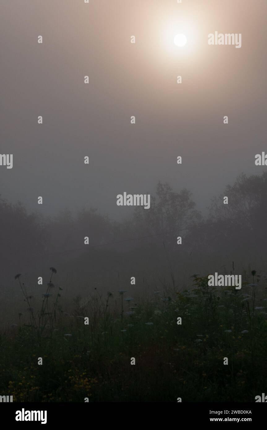 Morning Haze and Fog in Sugar Grove, Pennsylvania, USA Stock Photo - Alamy