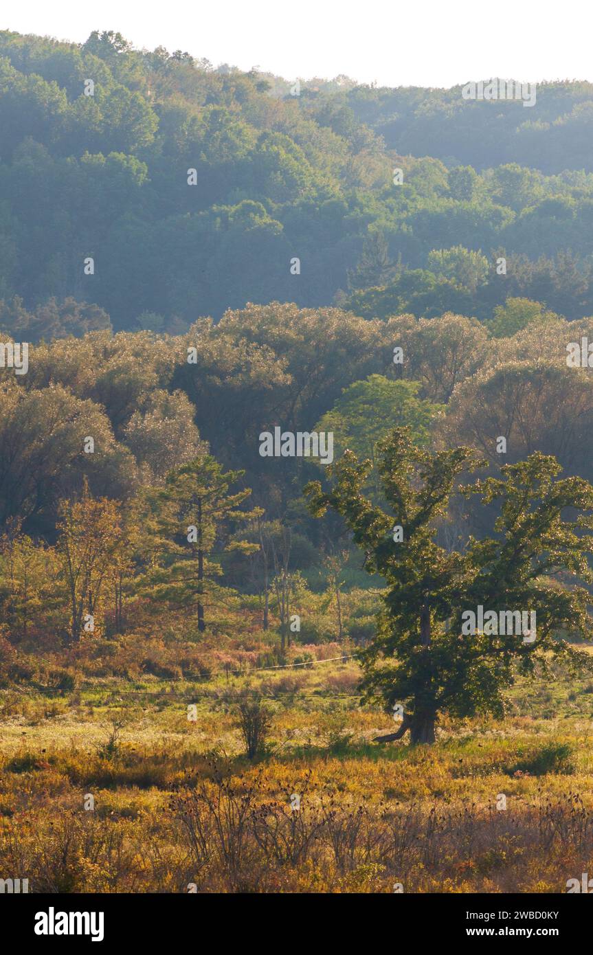Forest Overlook at Sugar Grove, Pennsylvania, USA Stock Photo - Alamy