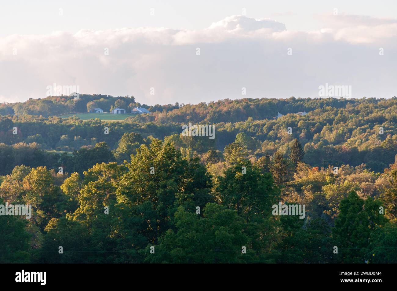 Forest Overlook at Sugar Grove, Pennsylvania, USA Stock Photo - Alamy