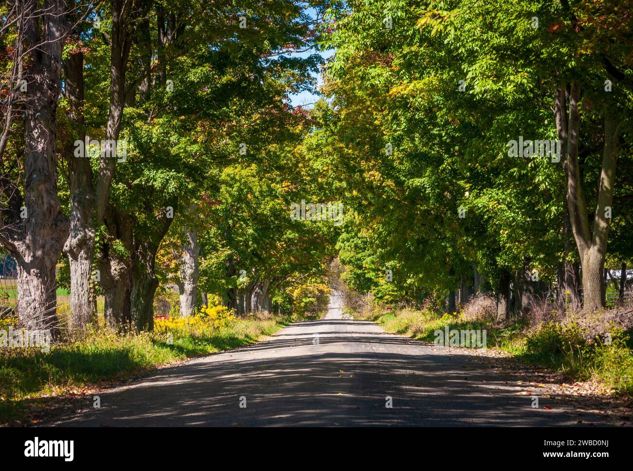 Pennsylvania backroads hi-res stock photography and images - Alamy