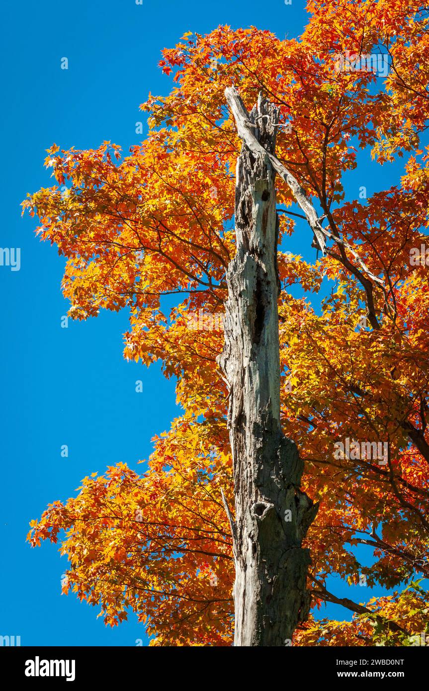 Pennsylvania backcountry hi-res stock photography and images - Alamy