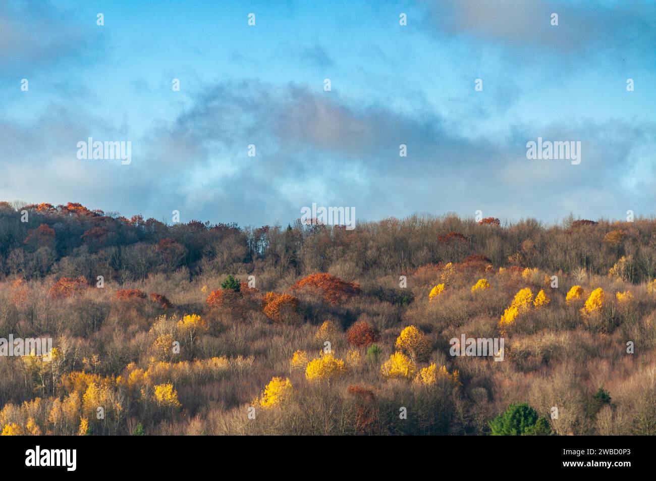 Forest Overlook at Sugar Grove, Pennsylvania, USA Stock Photo - Alamy