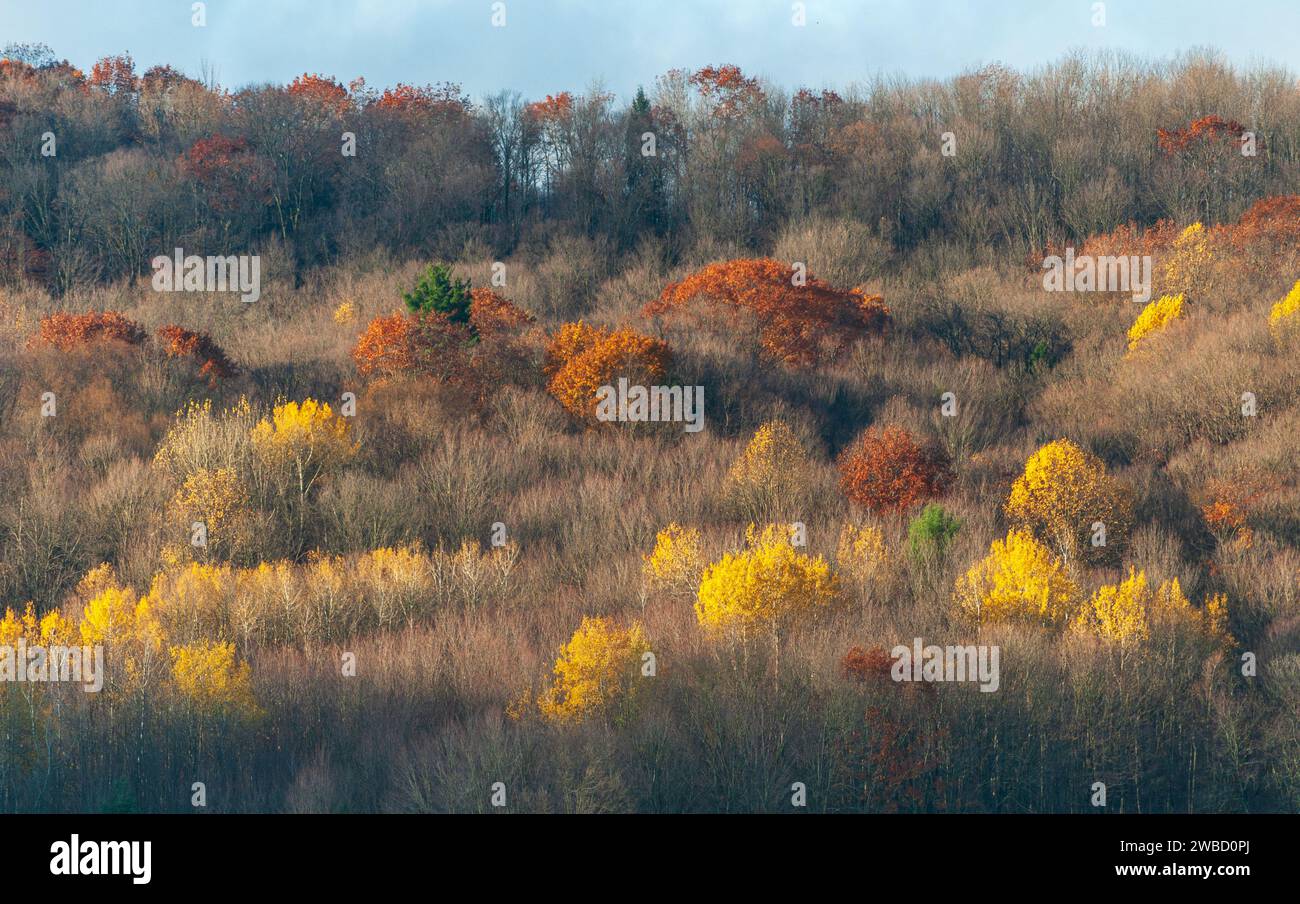 Forest Overlook at Sugar Grove, Pennsylvania, USA Stock Photo - Alamy