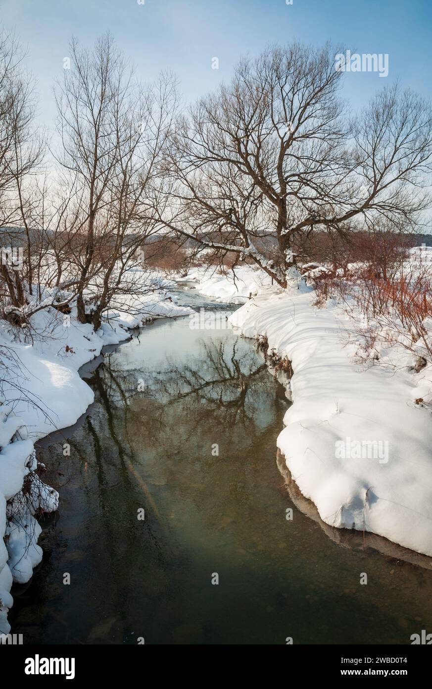 Conewango creek ecology hi-res stock photography and images - Alamy