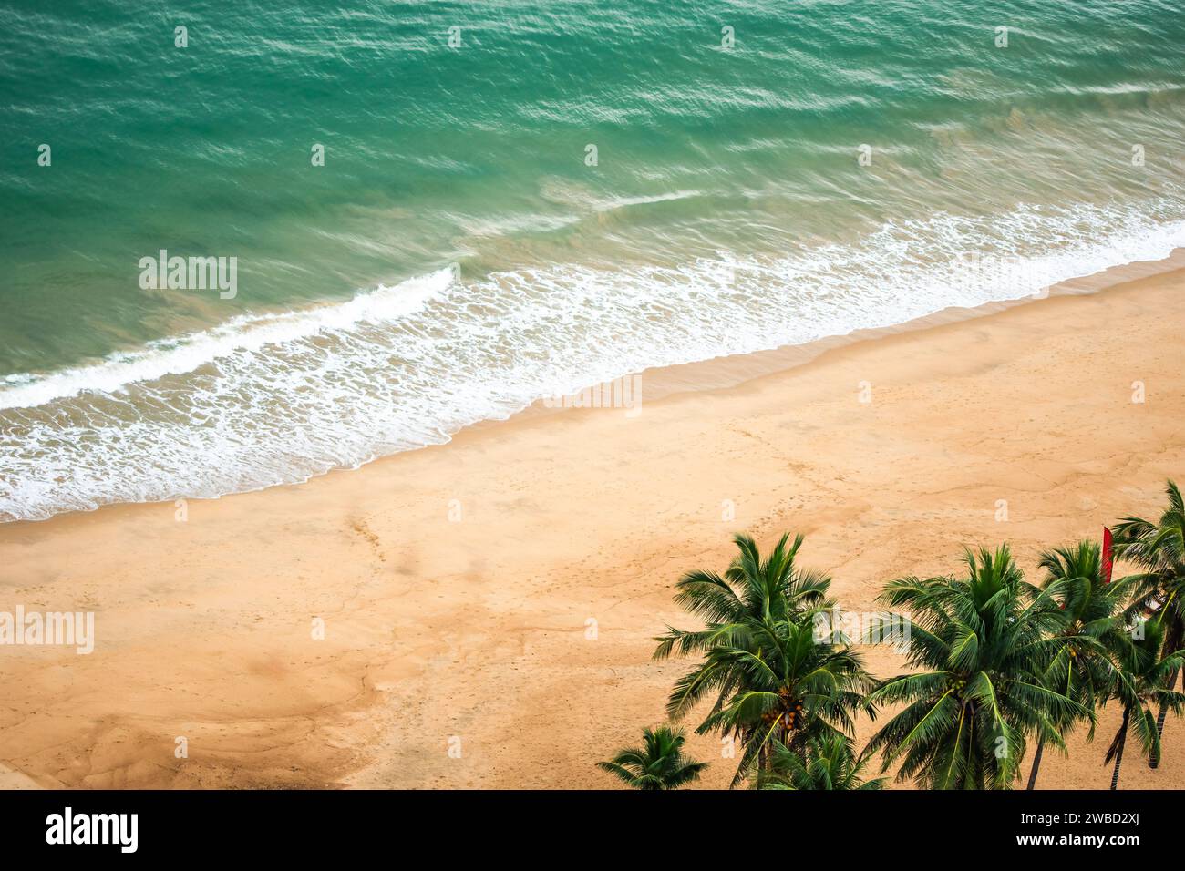 Aerial view of marine bay with waves breaking on sand beach with palm ...