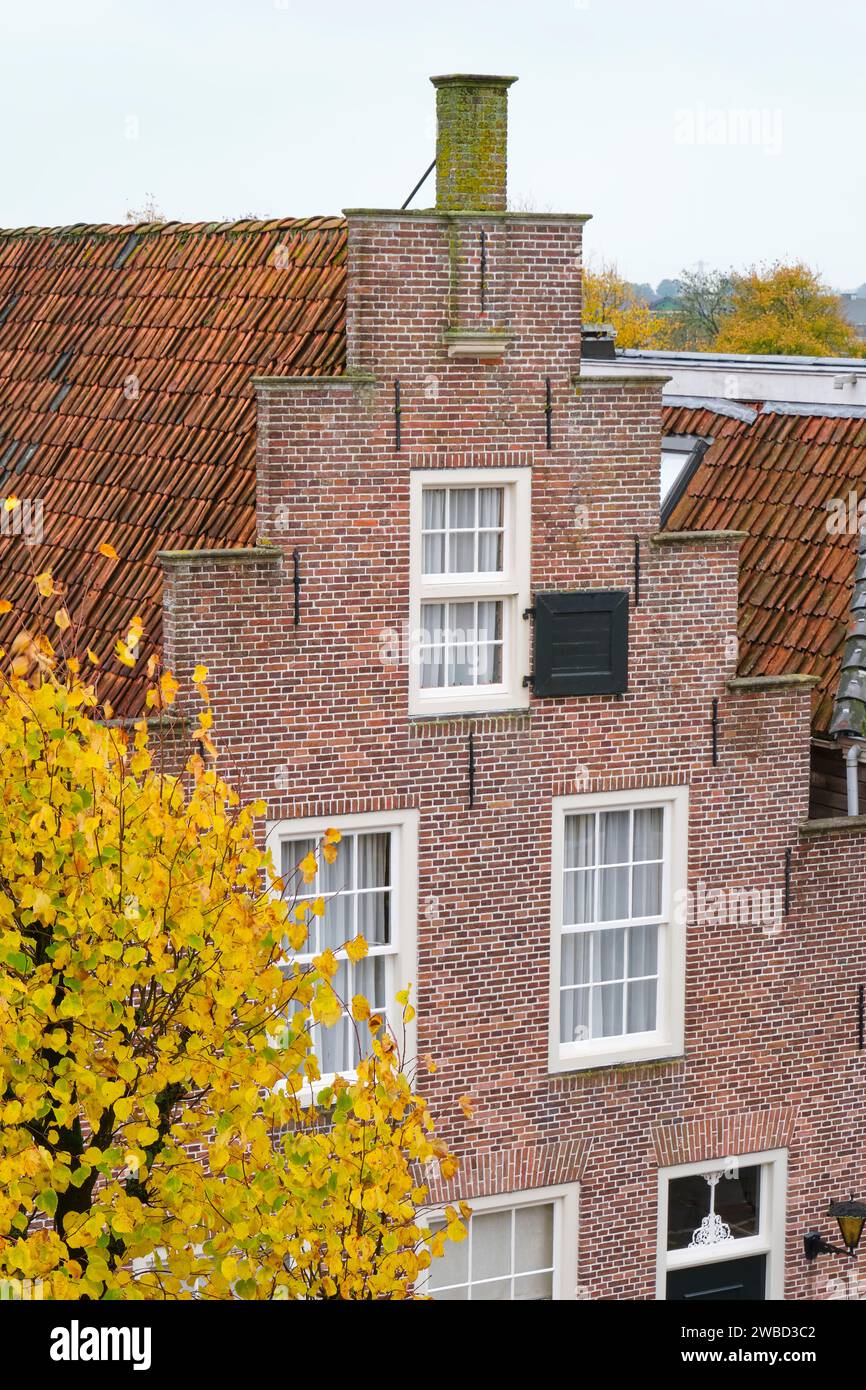 A typical dutch house with a stepped gable behind a tree with yellow ...
