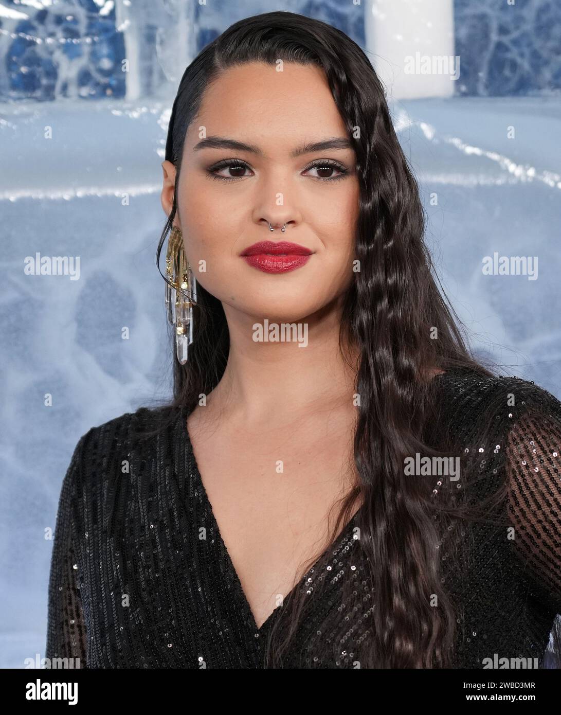 Los Angeles, USA. 09th Nov, 2024. Anna Lambe arrives at the HBO ...