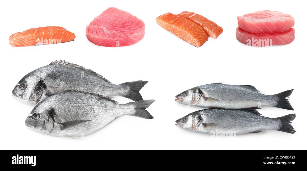 Different types of raw fish isolated on white, set Stock Photo - Alamy