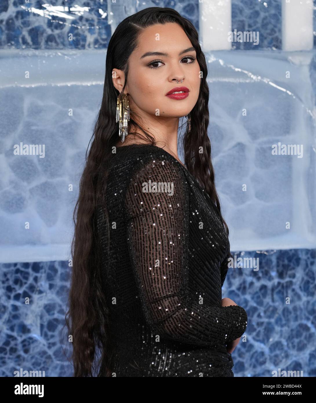 Los Angeles, USA. 09th Nov, 2024. Anna Lambe arrives at the HBO ...