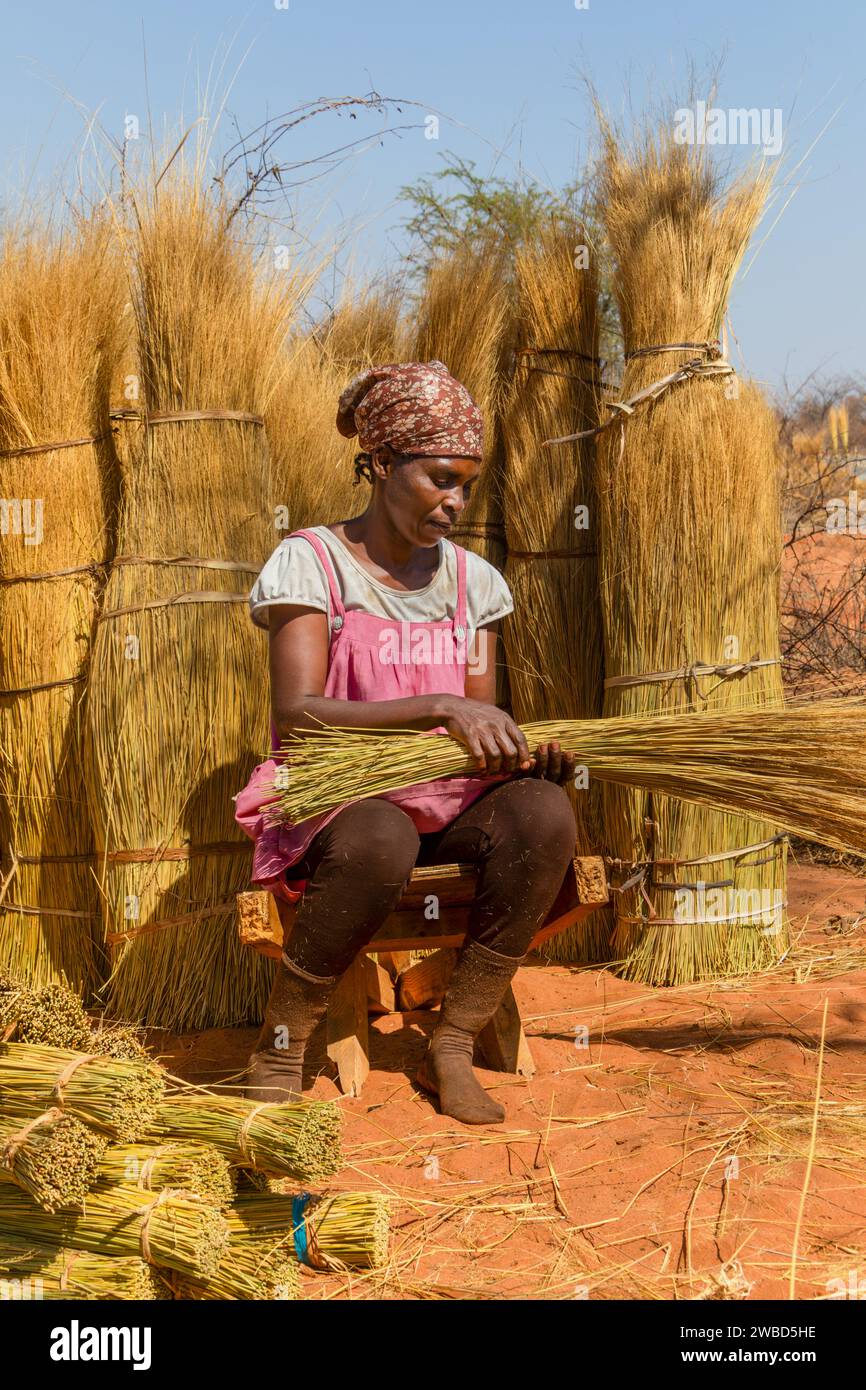 African woman work field hi-res stock photography and images - Alamy