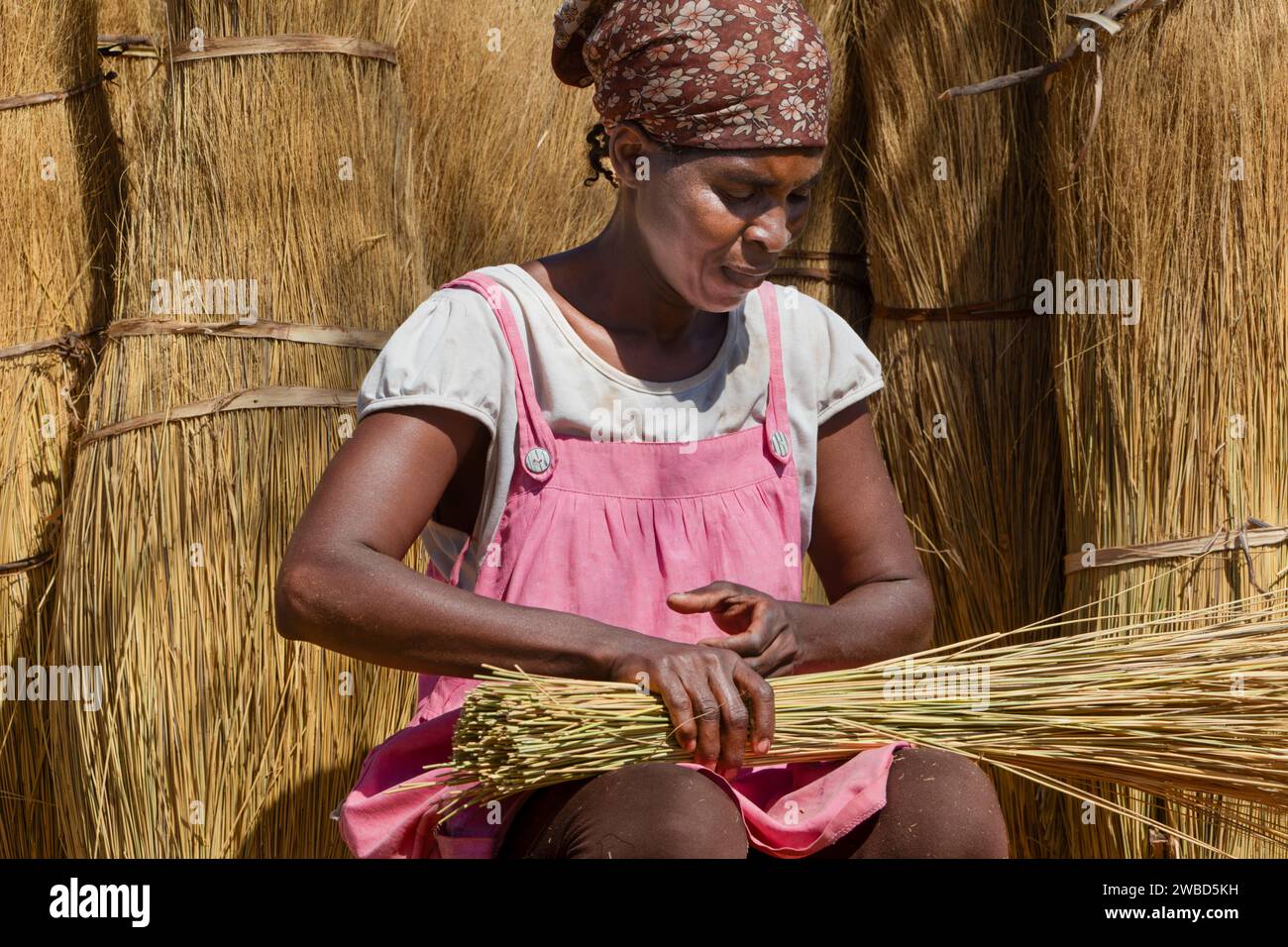 African woman work field hi-res stock photography and images - Alamy