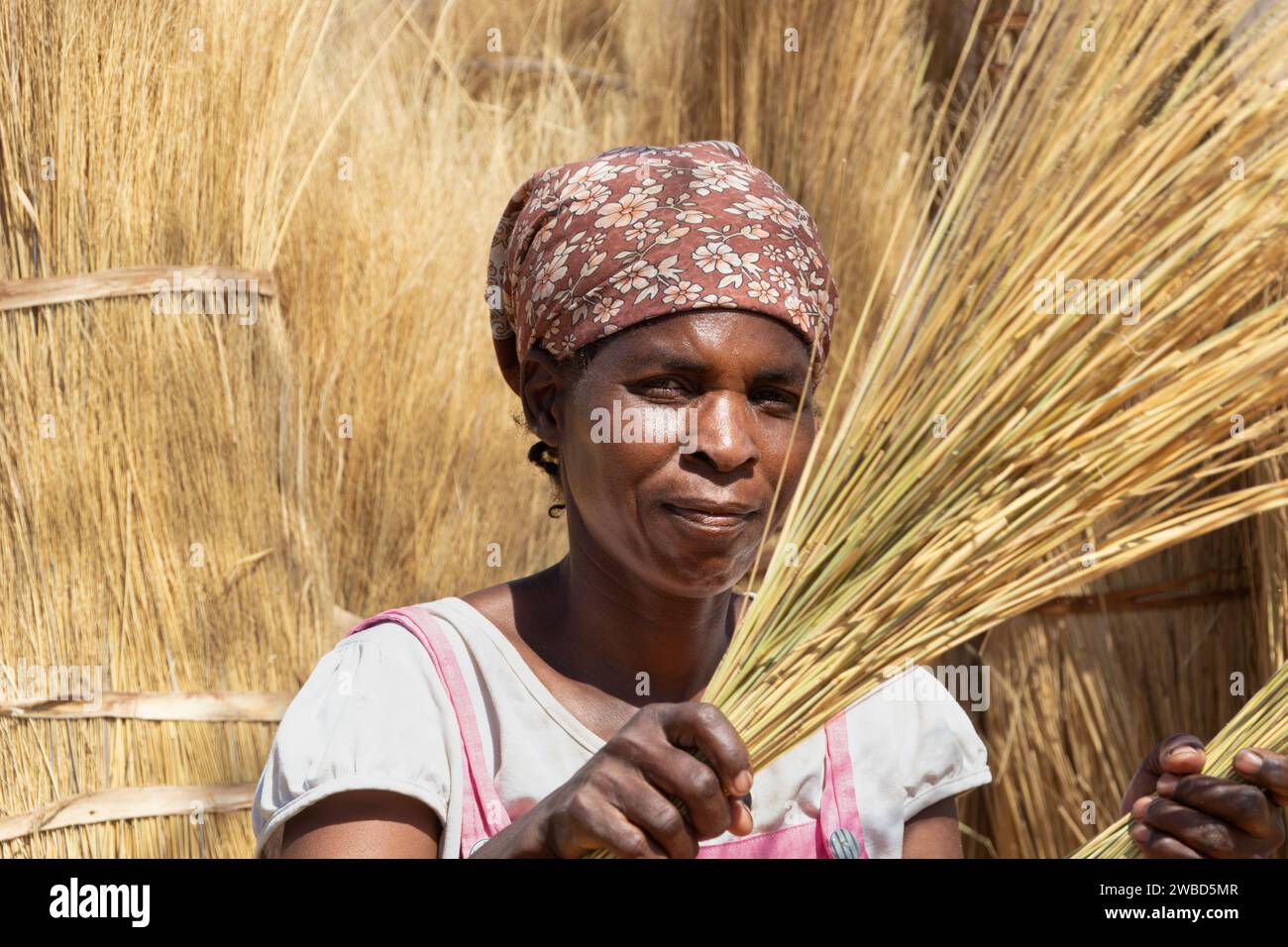 African woman work field hi-res stock photography and images - Alamy
