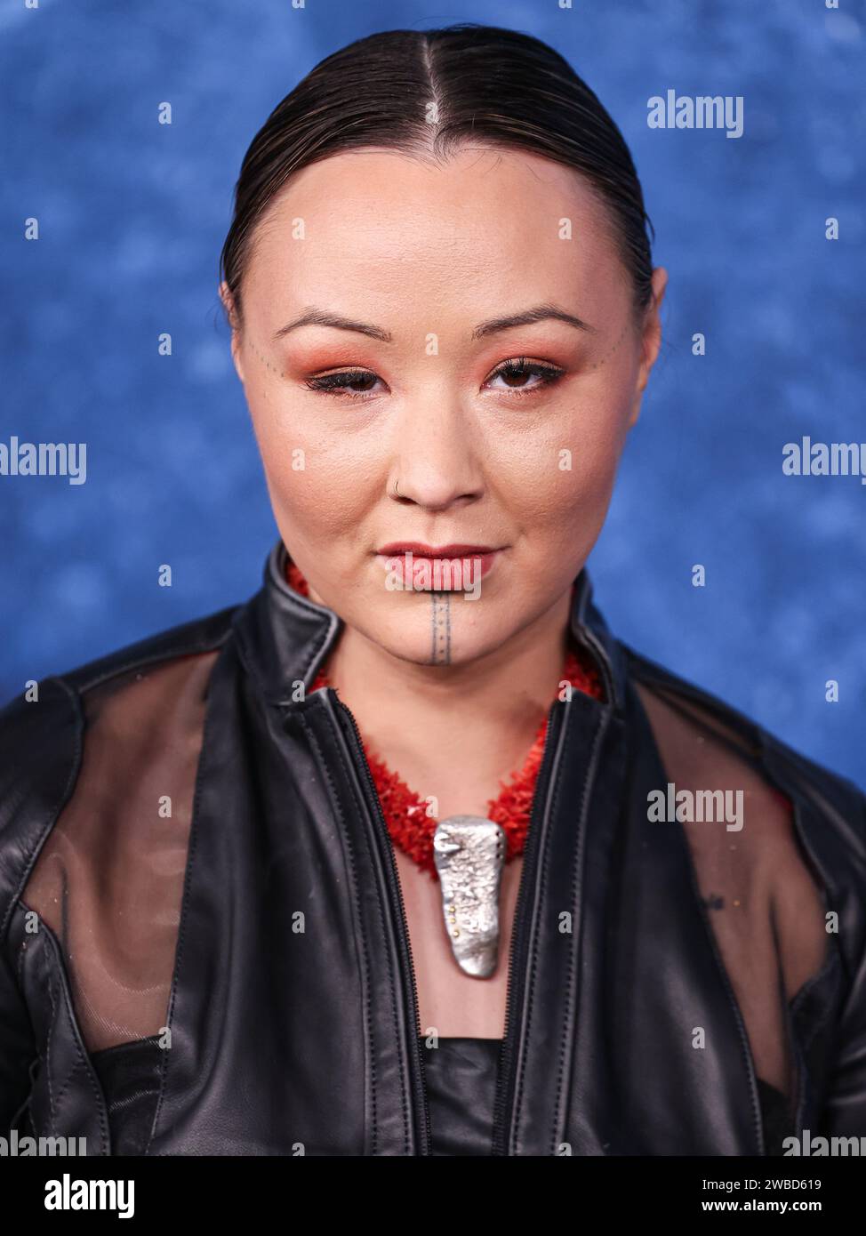 HOLLYWOOD, LOS ANGELES, CALIFORNIA, USA - JANUARY 09: Aka Niviana ...