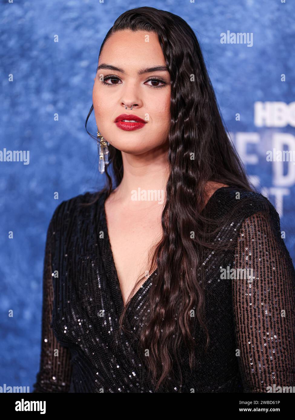 Hollywood, United States. 09th Jan, 2024. HOLLYWOOD, LOS ANGELES ...