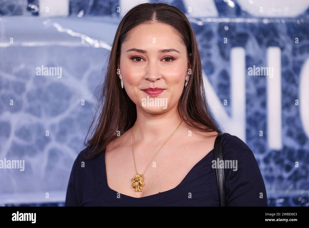 Hollywood, United States. 09th Jan, 2024. HOLLYWOOD, LOS ANGELES ...