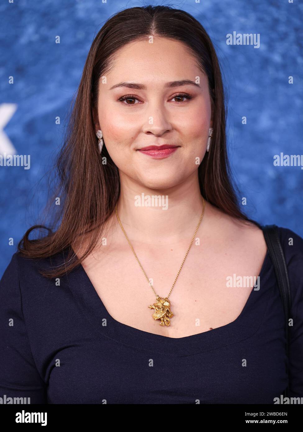 Hollywood, United States. 09th Jan, 2024. HOLLYWOOD, LOS ANGELES ...