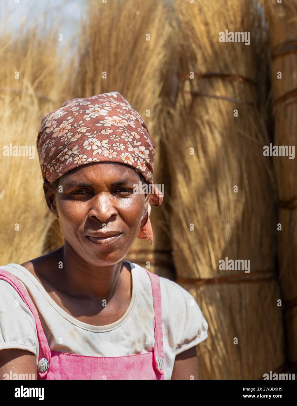 African woman work field hi-res stock photography and images - Alamy