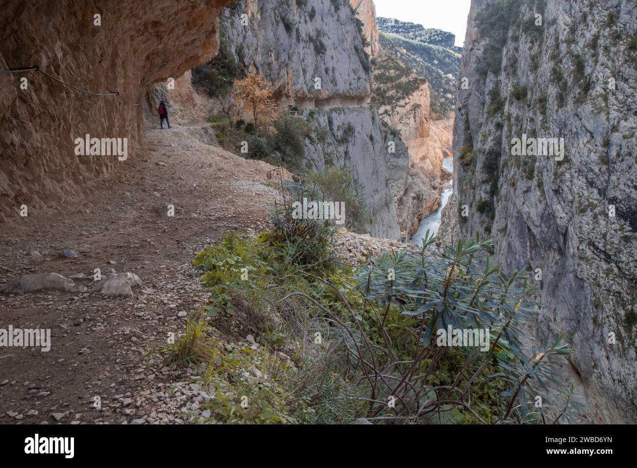 A scenic view of the Congost de Mont-rebei nature reserve in Spain ...