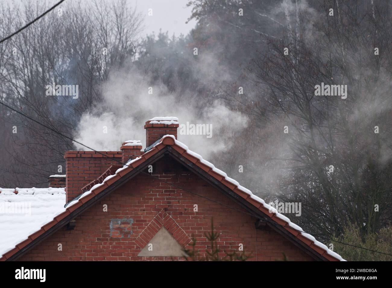 Winter air pollution by smoking chimney in Gdansk, Poland © Wojciech ...