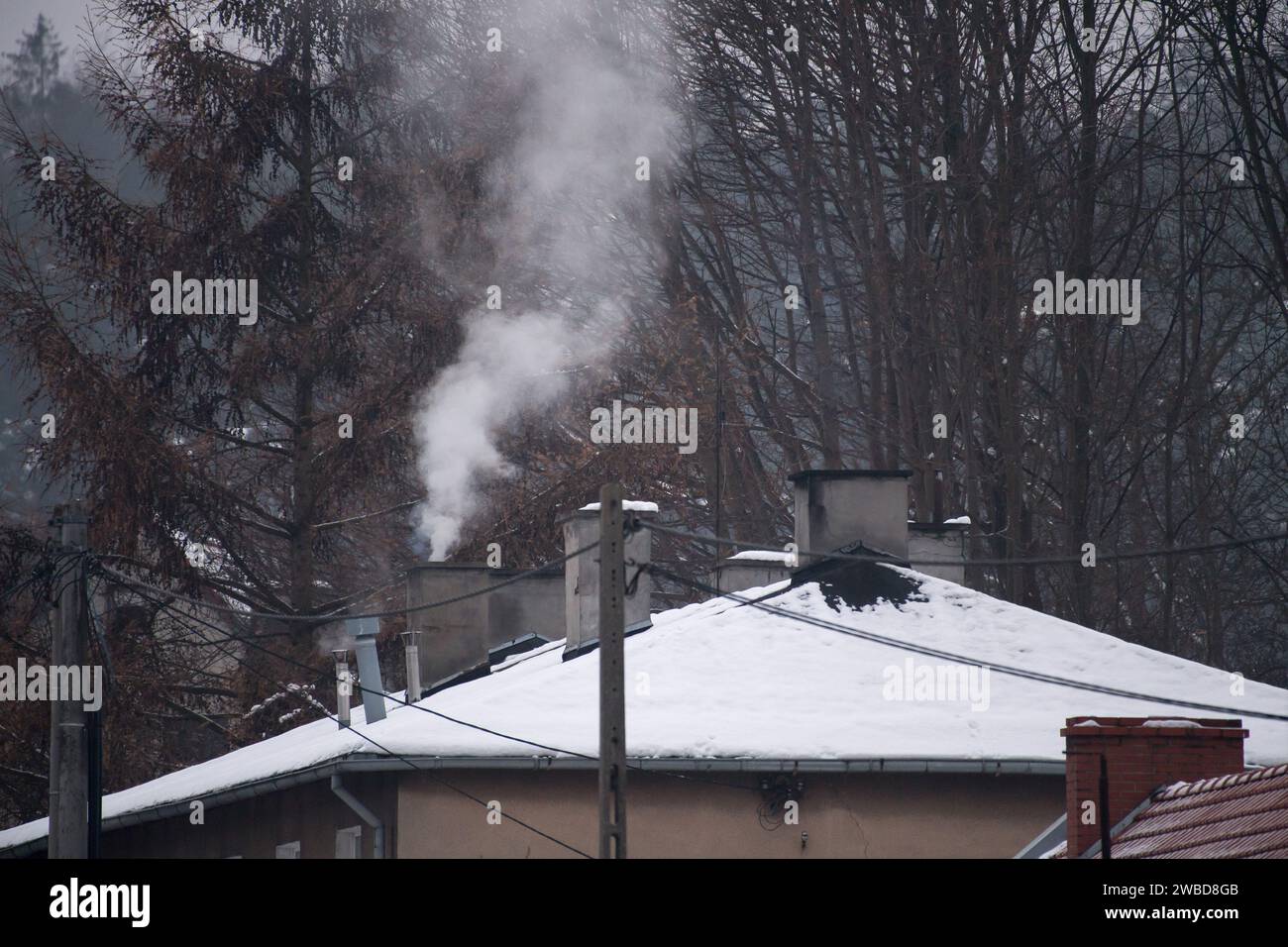 Winter air pollution by smoking chimney in Gdansk, Poland © Wojciech ...