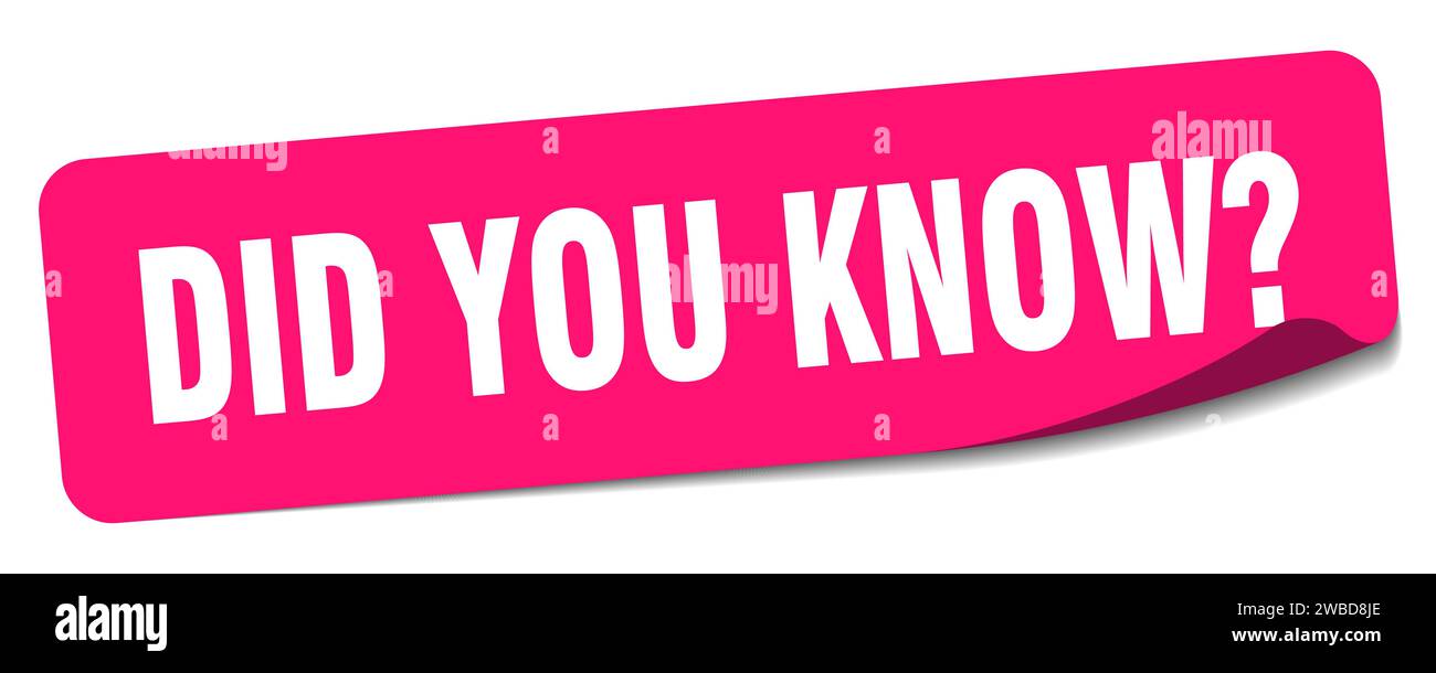 did you know sticker. did you know rectangular label isolated on white ...