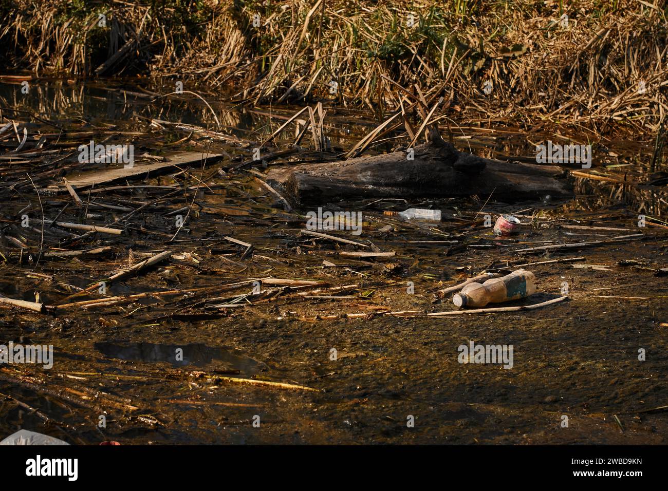 Polluted river with plastic bottles, household waste. Riverside ...