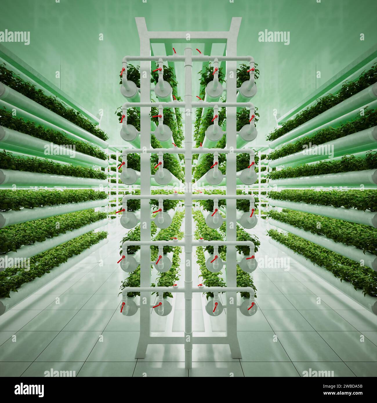 Inside an advanced vertical farming facility implementing hydroponics ...