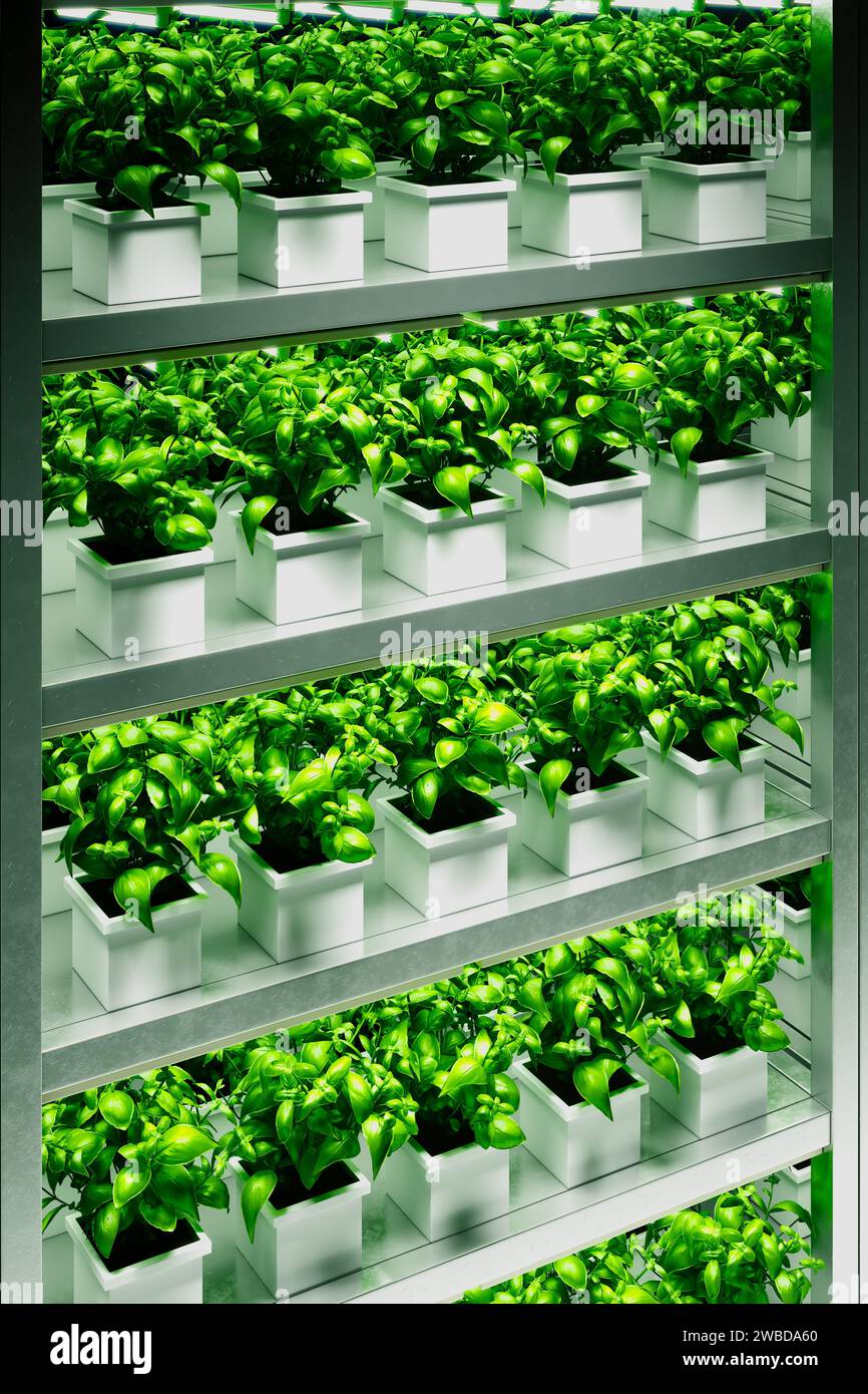 A state-of-the-art indoor hydroponic farm with vertically stacked ...