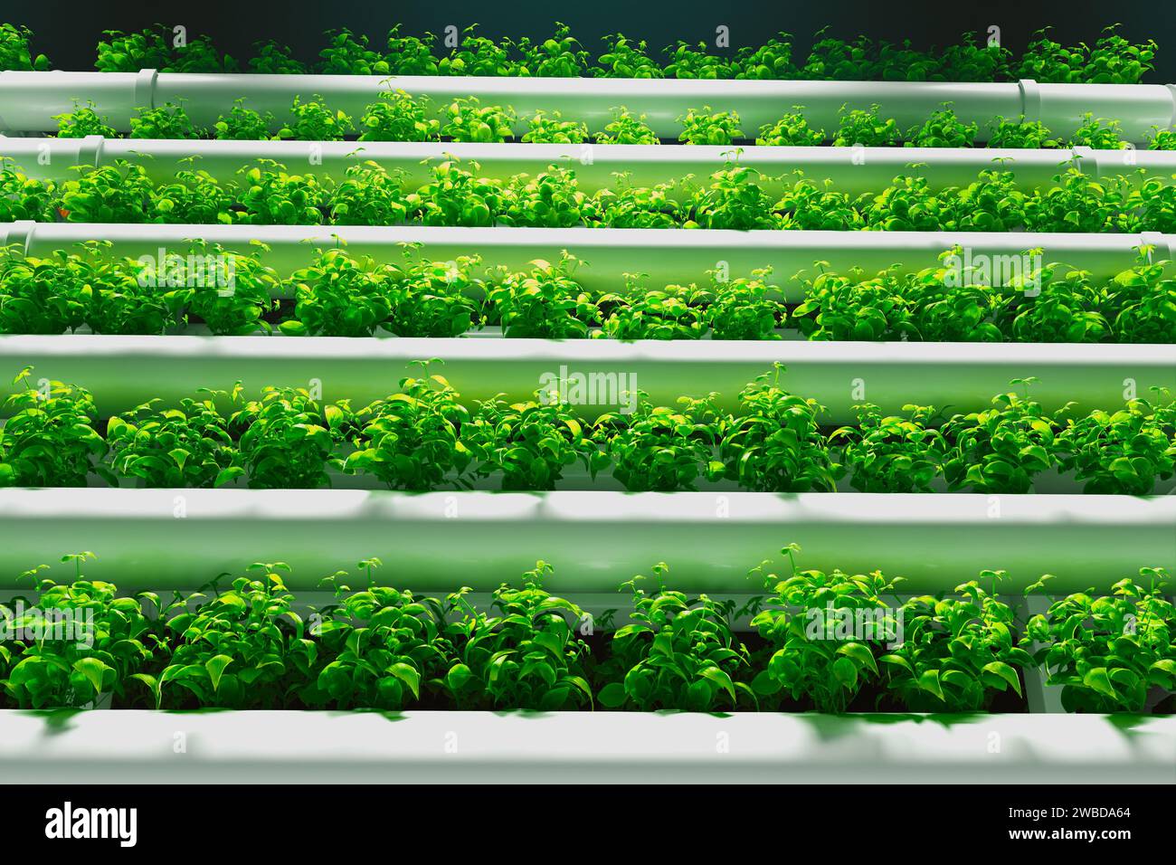 This is an image depicting an efficiently arranged, modern vertical ...