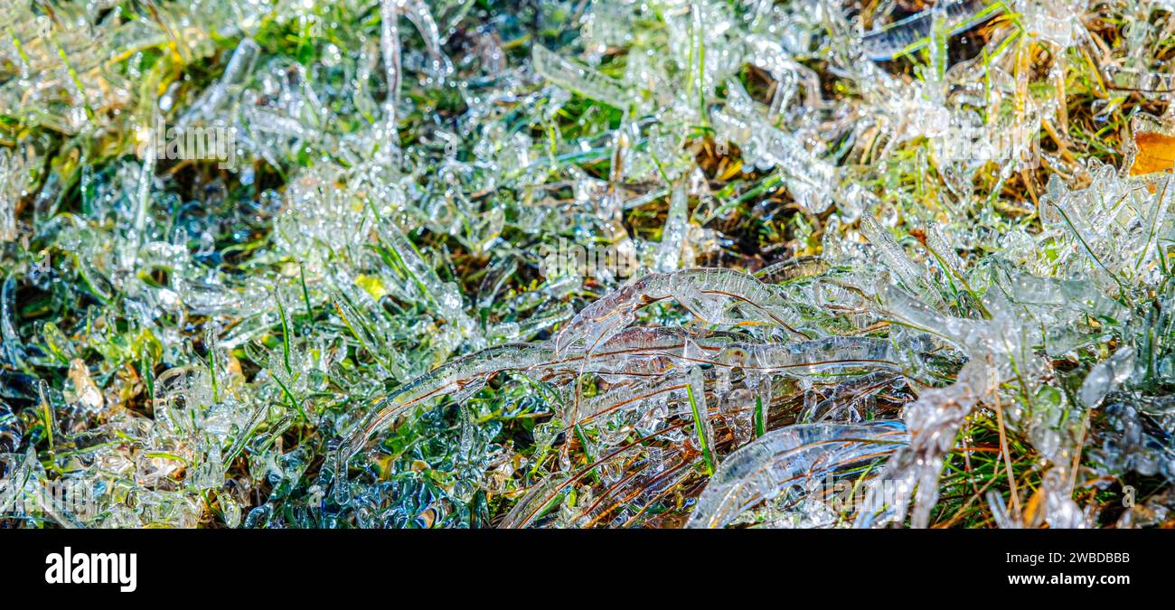 Green grass covered with ice. Consequences after freezing rain Stock ...