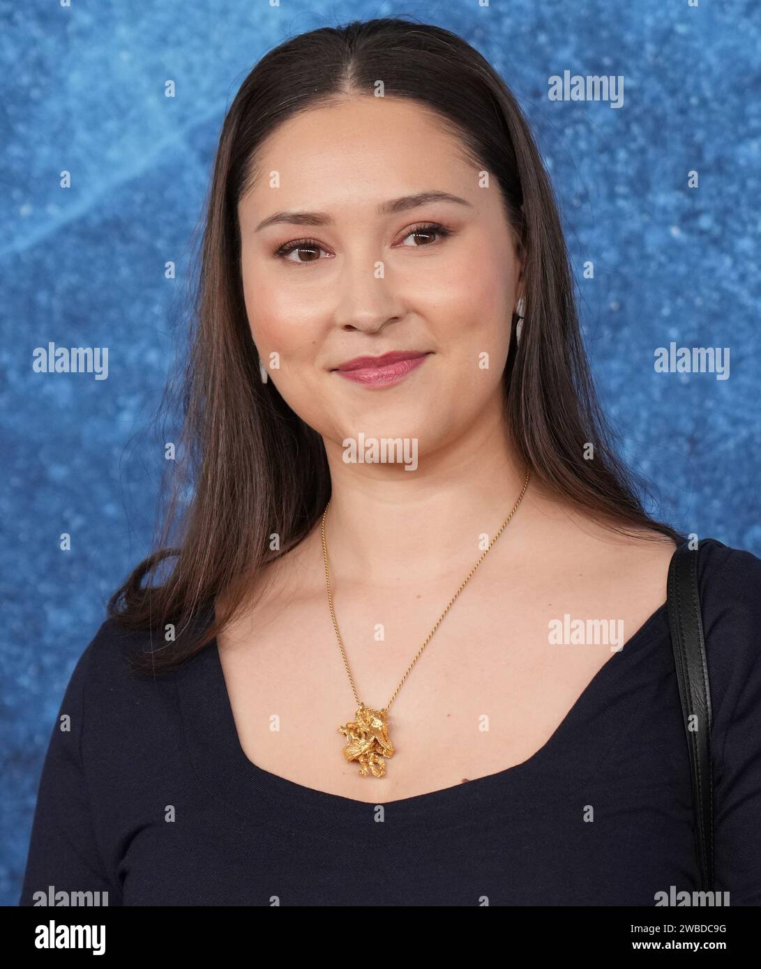 Los Angeles, USA. 09th Nov, 2024. Nivi Pedersen arrives at the HBO ...