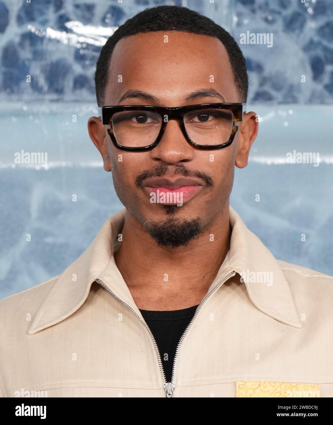 Los Angeles, USA. 09th Nov, 2024. Kalen Allen arrives at the HBO ...