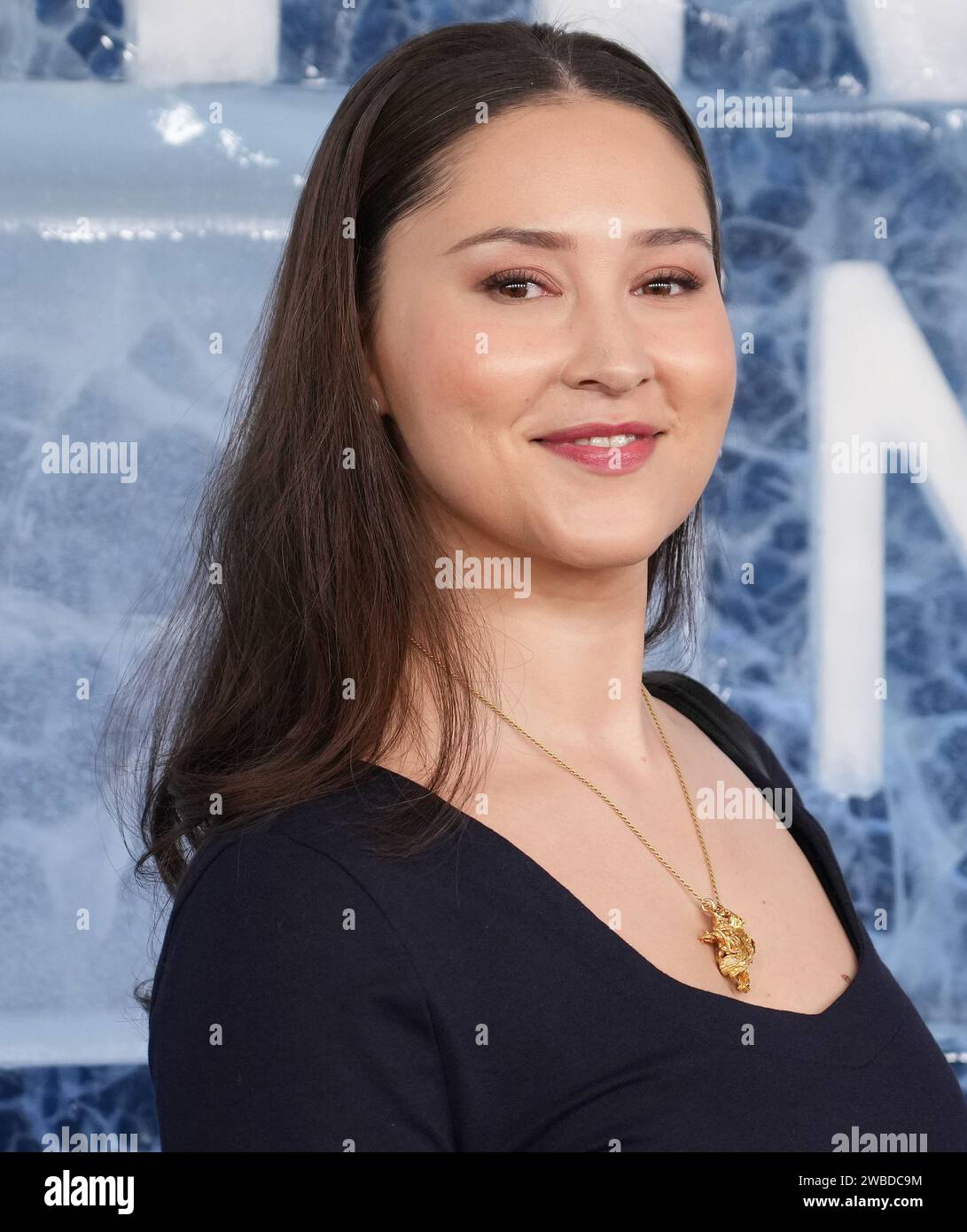 Los Angeles, USA. 09th Nov, 2024. Nivi Pedersen arrives at the HBO ...