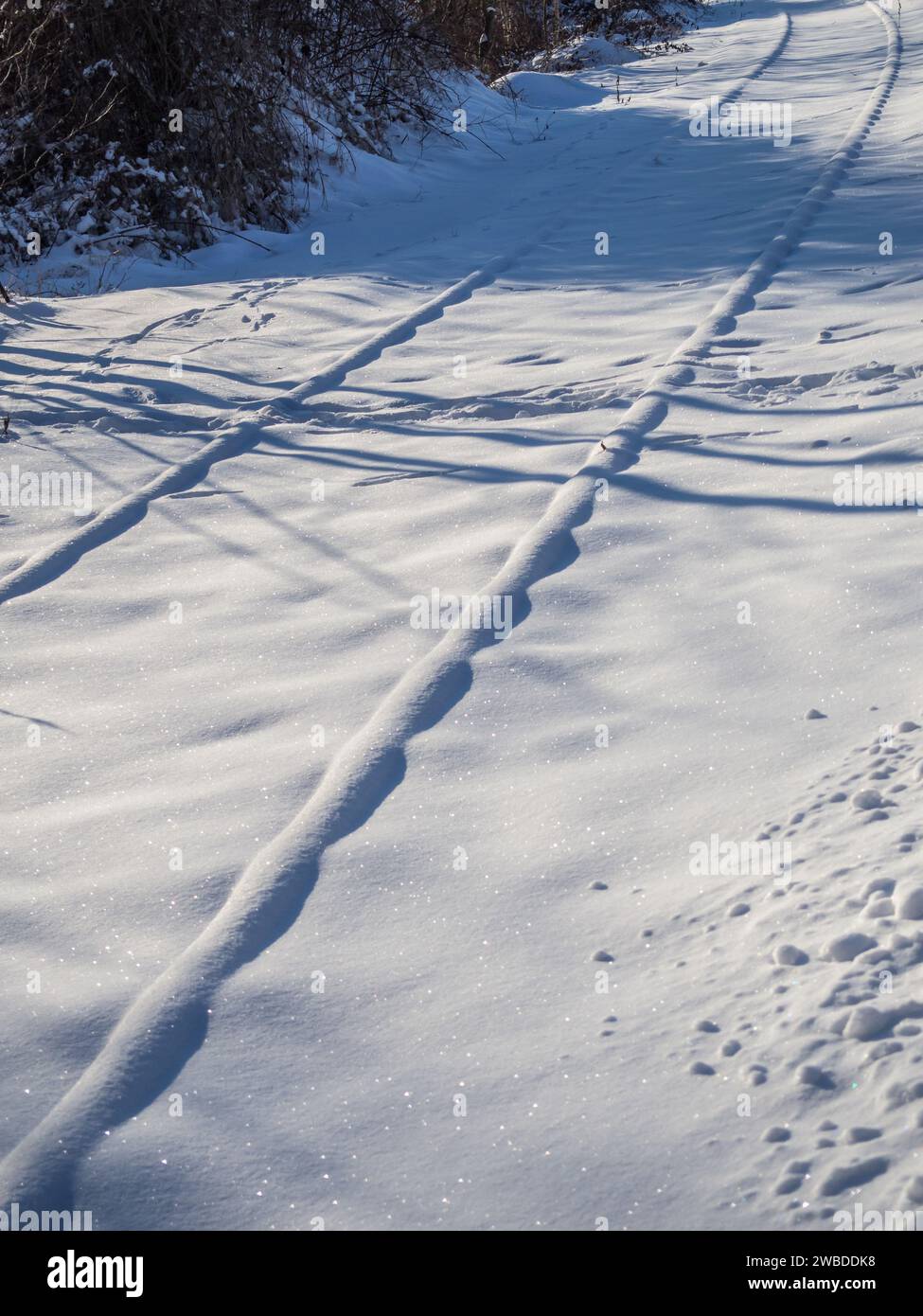 Railway winter landscape railroad forest hi-res stock photography and ...