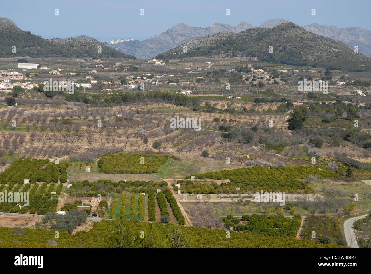 Jalon Valley, semi aerial view with fields of orange groves and almond ...