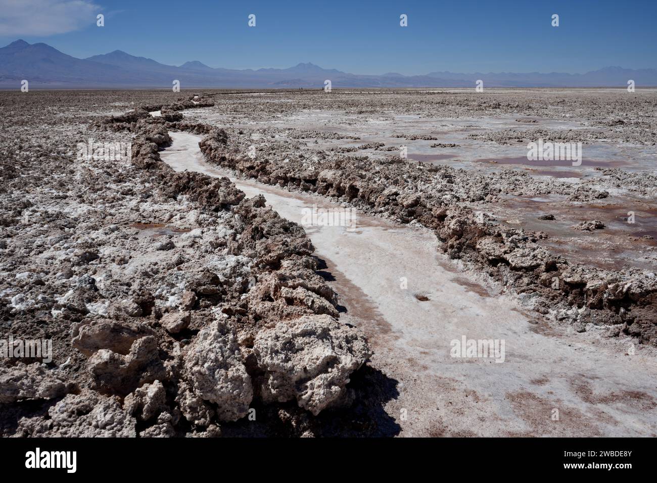 A Channel though the salt crust at Salar De Atecama, Los Flamencos ...