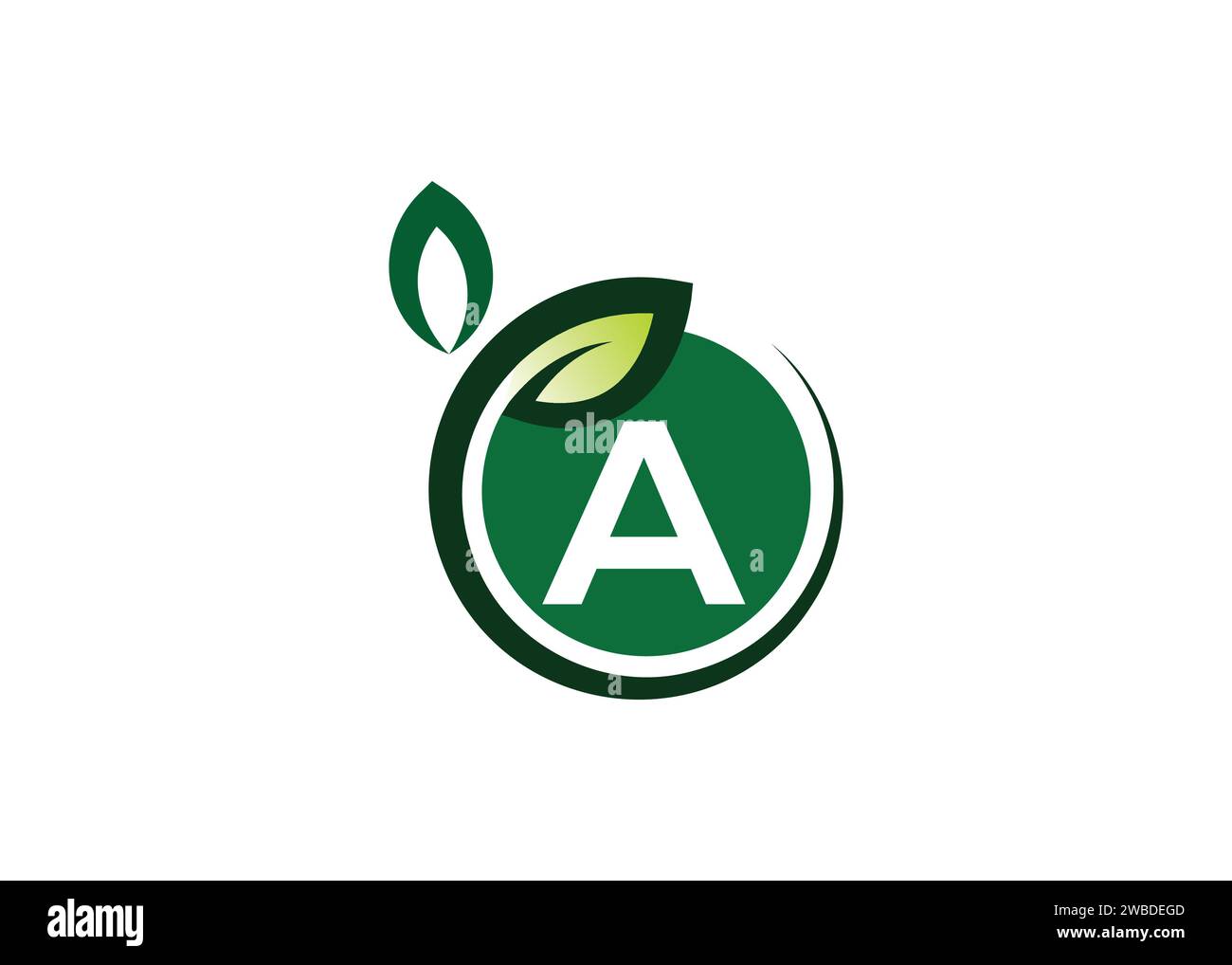 Letter A Green leaf logo design vector template. Letter A Nature Growth ...