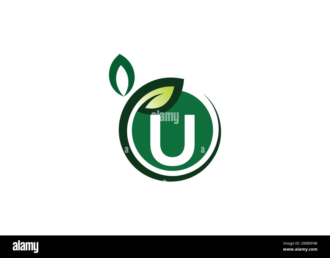 Letter U Green leaf logo design vector template. Letter U Nature Growth ...