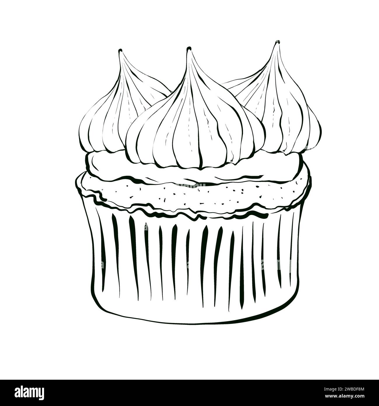 Cupcake Graphic drawing. Hand drawn illustration isolated on white ...