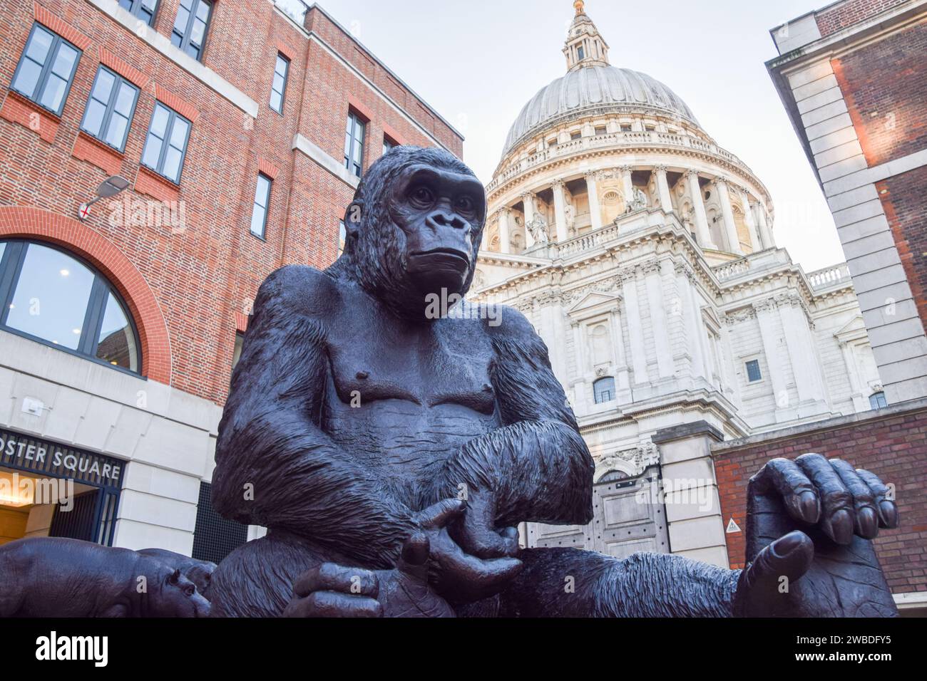 London, England, Uk. 10th Jan, 2024. Wild About Babies by Gillie and ...