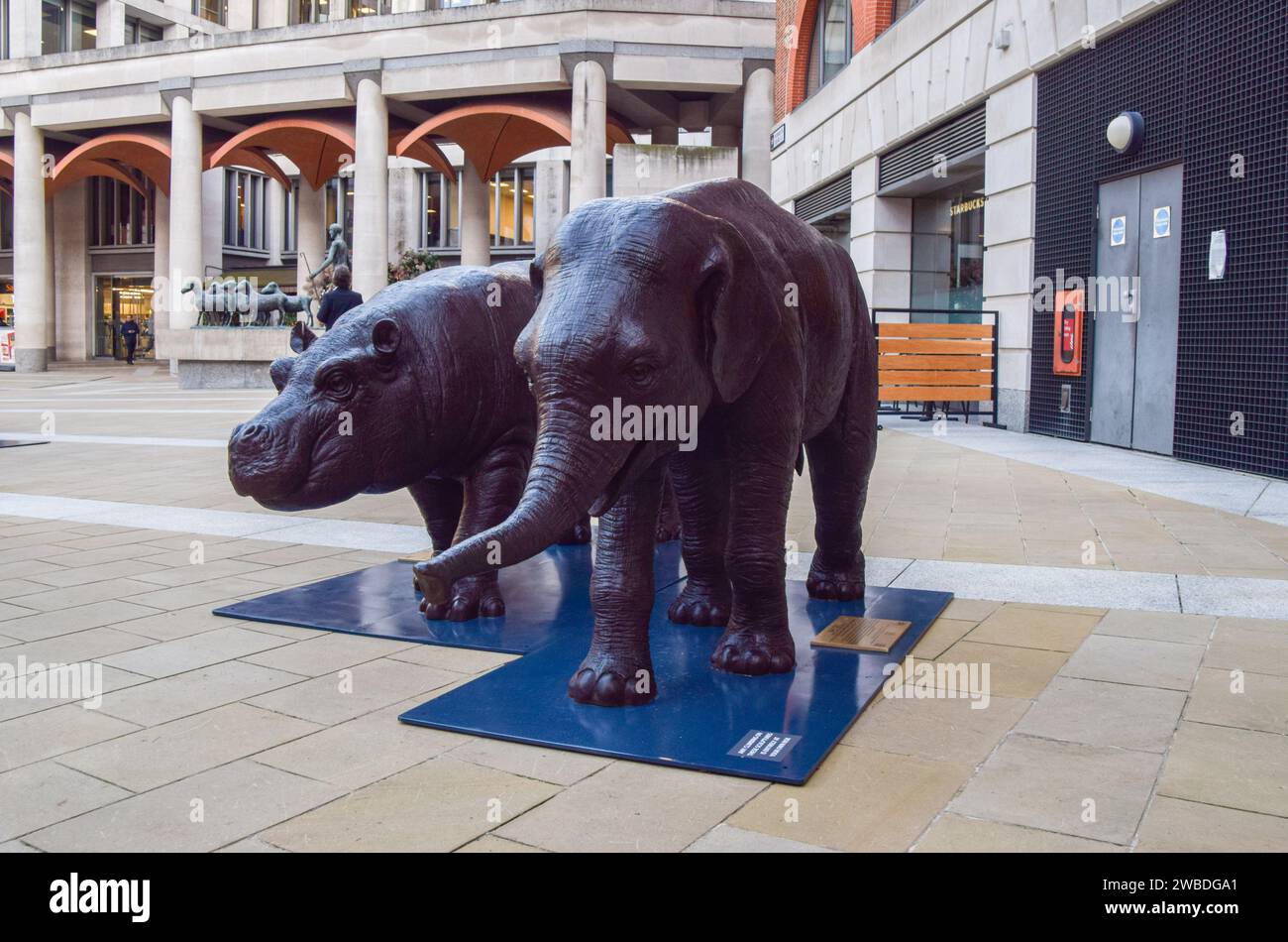 London, England, Uk. 10th Jan, 2024. Wild About Babies by Gillie and ...