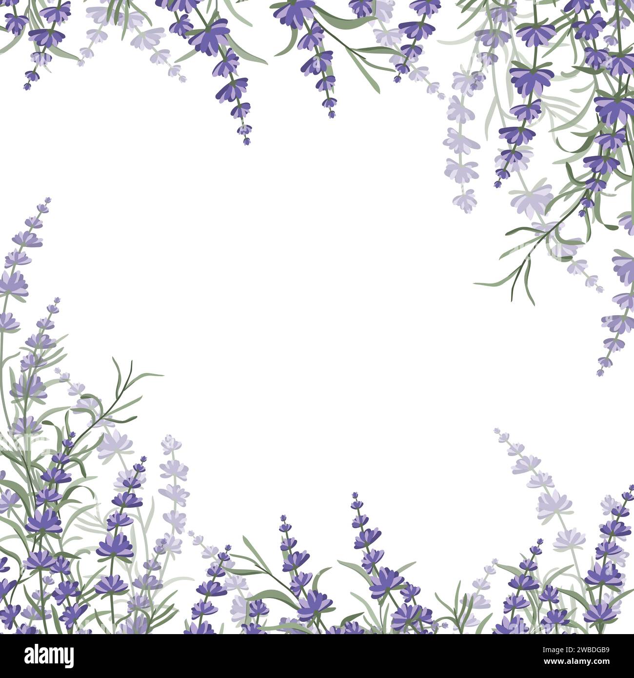 A beautiful purple-lavender border, for the design of postcards ...