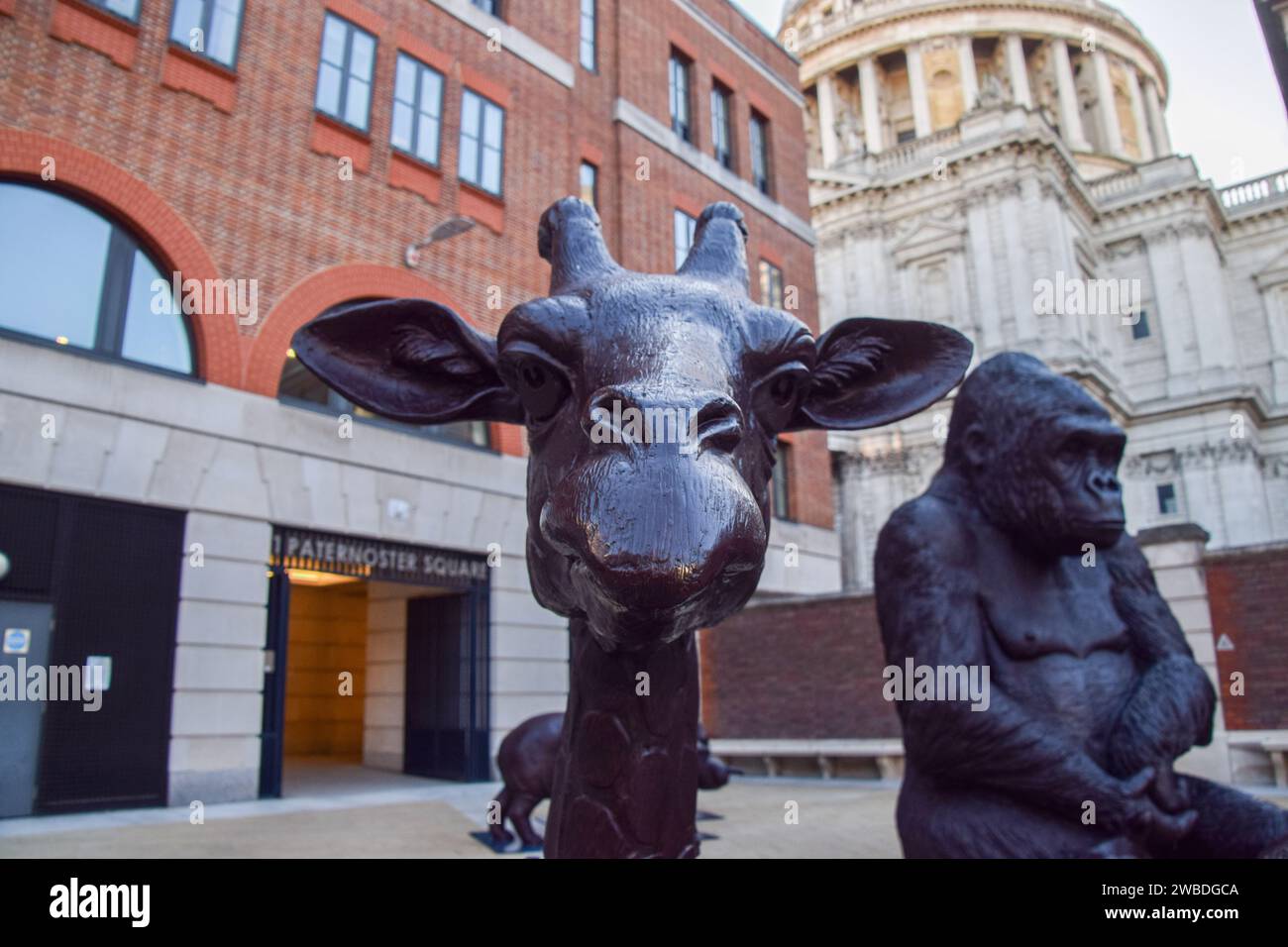London, England, Uk. 10th Jan, 2024. Wild About Babies by Gillie and ...