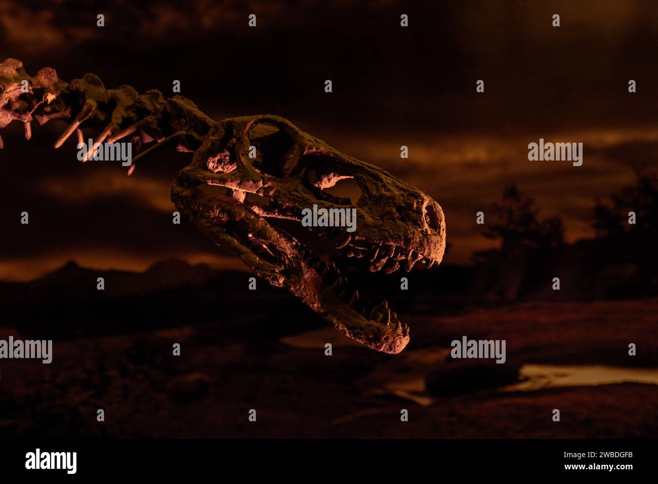 Dinosaur egg fossils hi-res stock photography and images - Alamy