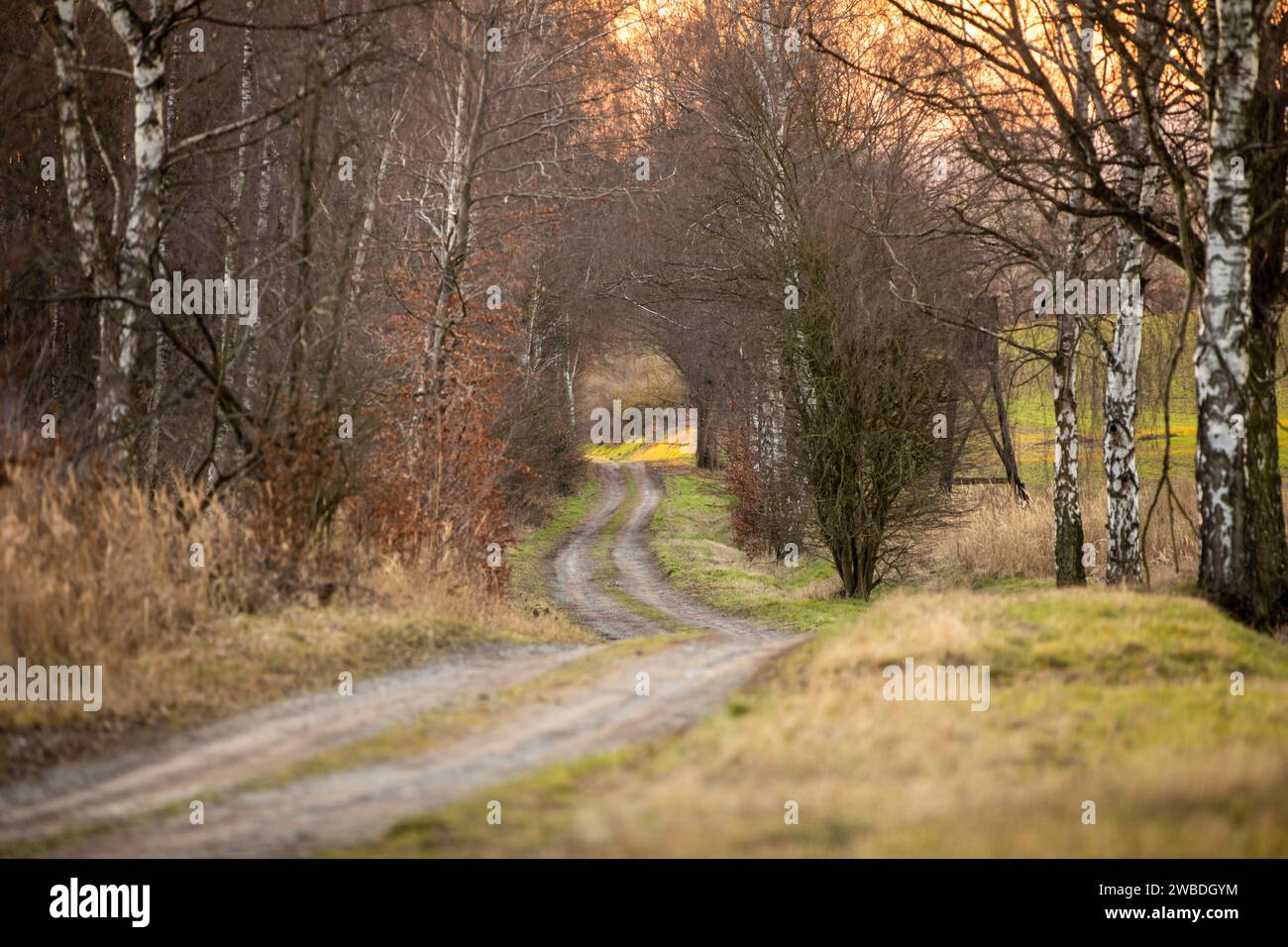 Landschaft am Waldrand im Herbst und Winter Stock Photo - Alamy