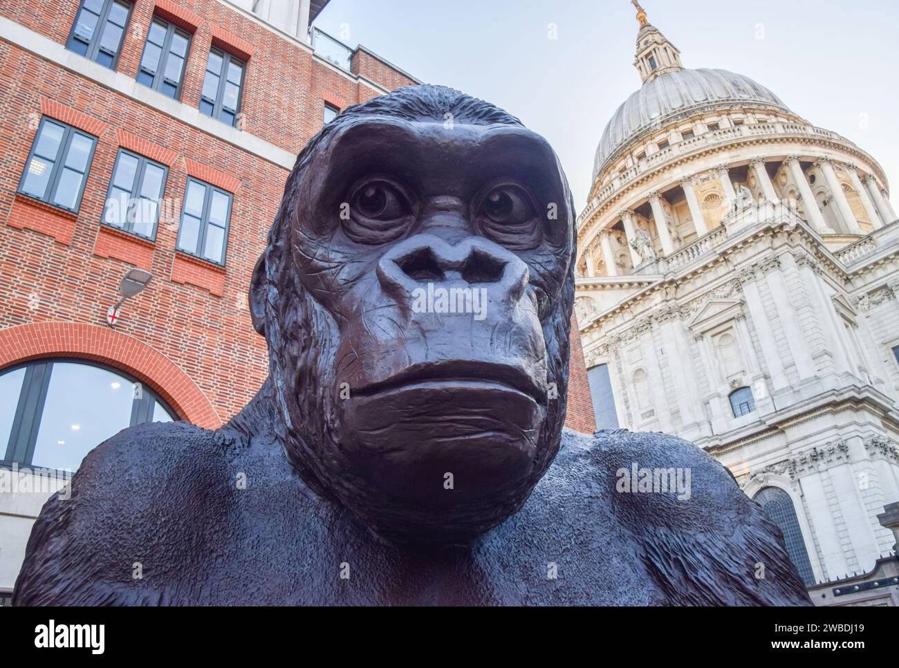 London, UK. 10th January 2024. Wild About Babies by Gillie and Marc in ...